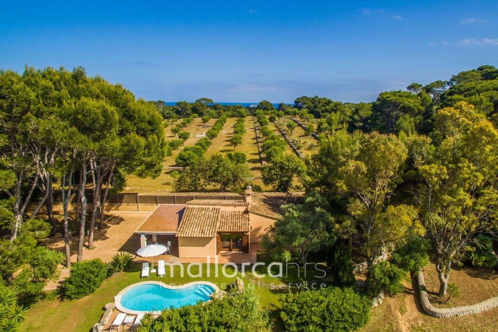 Els Pins 1 – Mallorca HRS